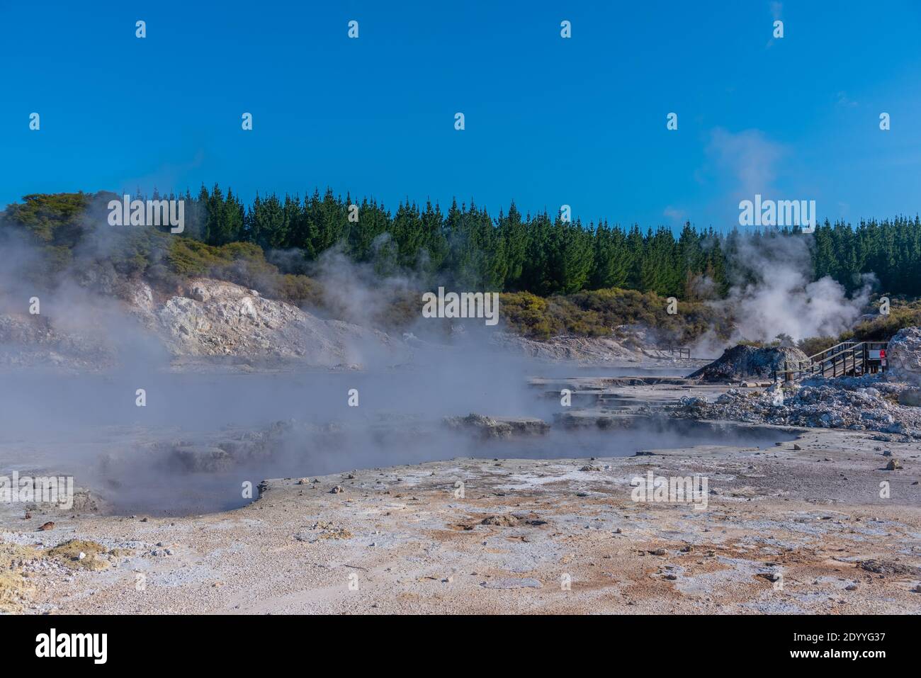 Hell's Gate Geothermal Reserve in New Zealand Stock Photo - Alamy