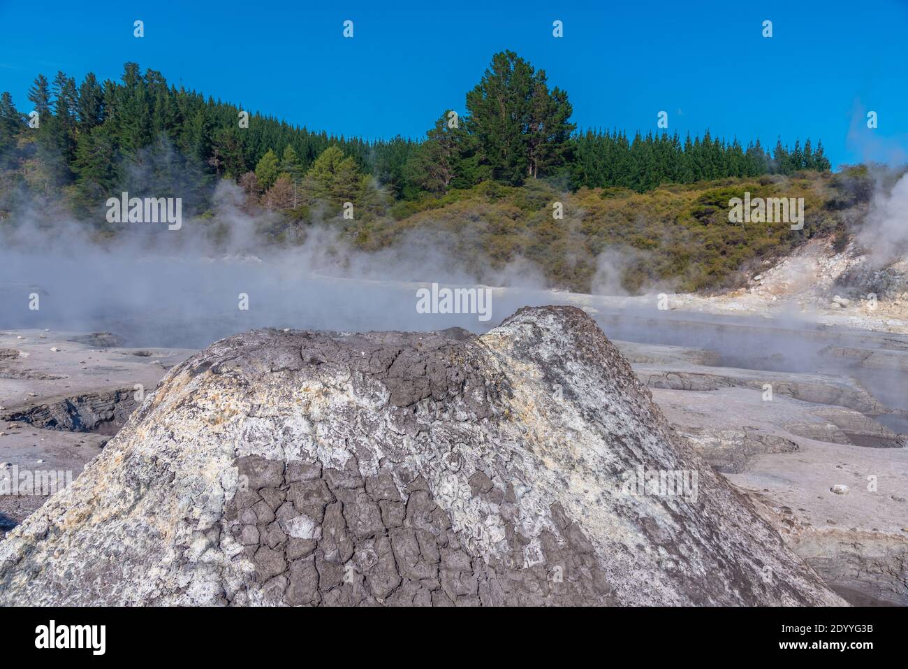 Mud volcano at Hell's Gate Geothermal Reserve in New Zealand Stock ...