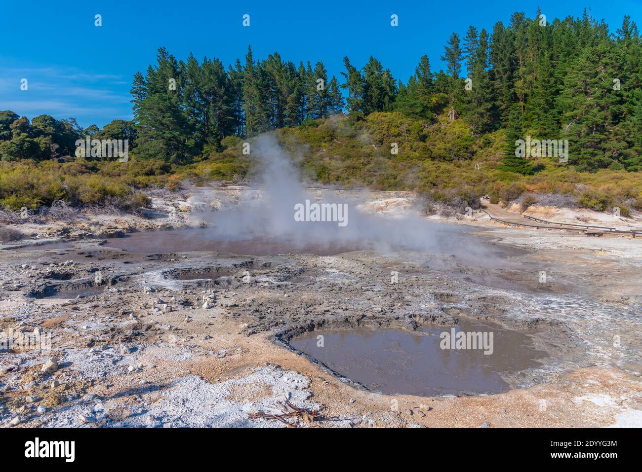 Hell's Gate Geothermal Reserve in New Zealand Stock Photo - Alamy