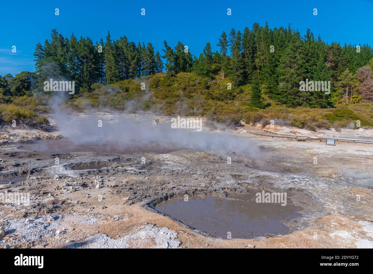 Hell's Gate Geothermal Reserve in New Zealand Stock Photo - Alamy