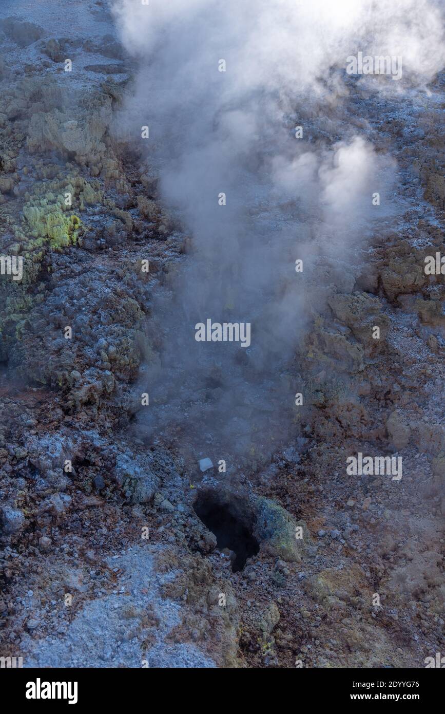Fumaroles at Hell's Gate Geothermal Reserve in New Zealand Stock Photo ...