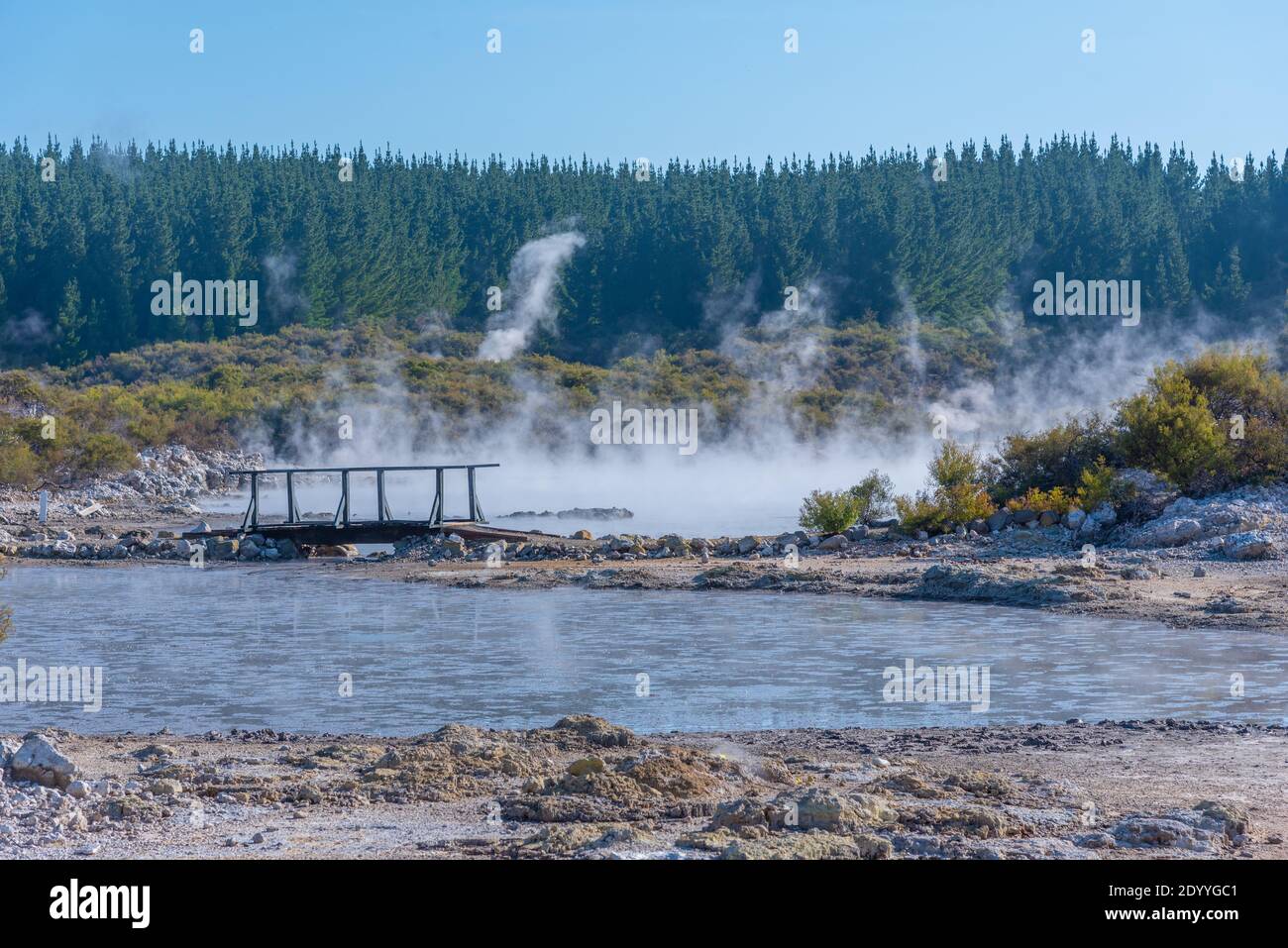 Hell's Gate Geothermal Reserve in New Zealand Stock Photo - Alamy