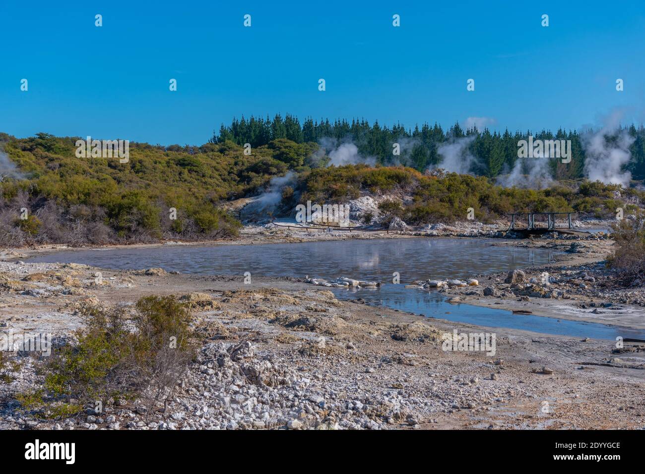 Hell's Gate Geothermal Reserve in New Zealand Stock Photo - Alamy