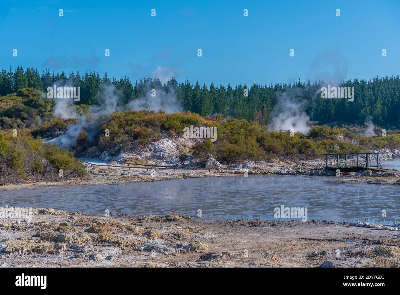 Hell's Gate Geothermal Reserve in New Zealand Stock Photo - Alamy