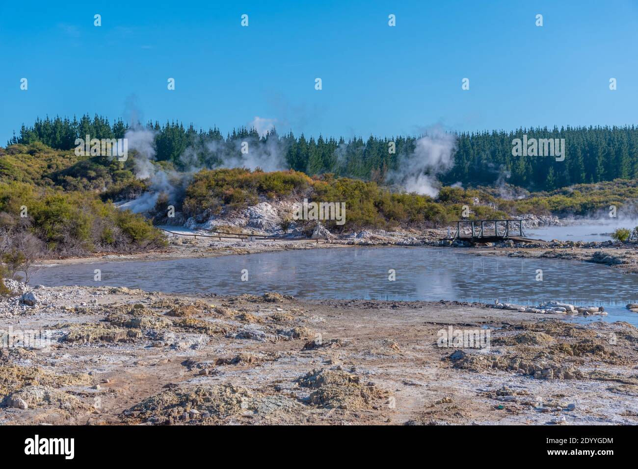 Hell's Gate Geothermal Reserve in New Zealand Stock Photo - Alamy