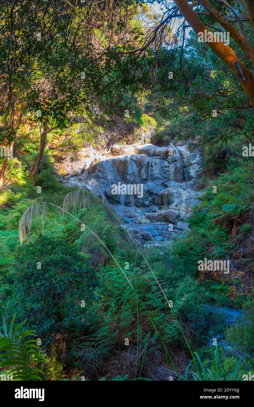Kakahi falls at Hell's Gate Geothermal Reserve in New Zealand Stock ...