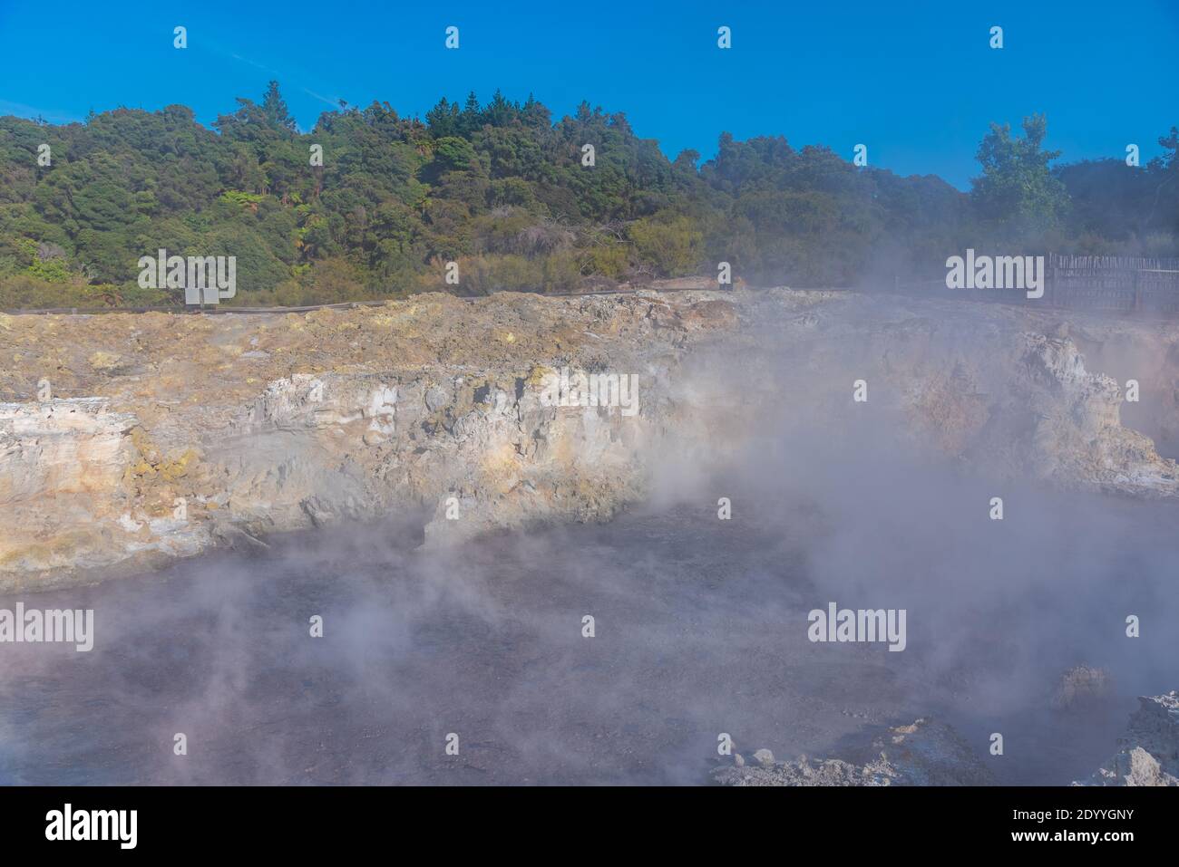 Hot pools at Hell's Gate Geothermal Reserve in New Zealand Stock Photo ...