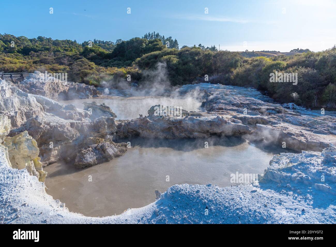 Hot pools at Hell's Gate Geothermal Reserve in New Zealand Stock Photo ...