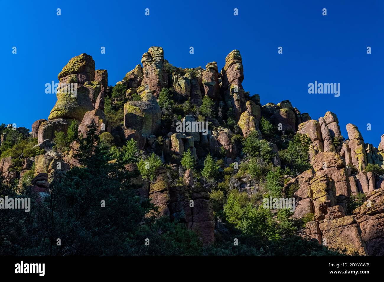 Rock pinnacles made of eroded volcanic rhyolite in Chiricahua National ...