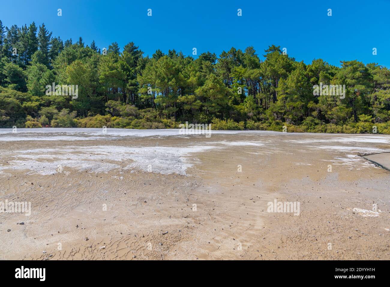Mud pools at Wai-O-Tapu at New Zealand Stock Photo - Alamy