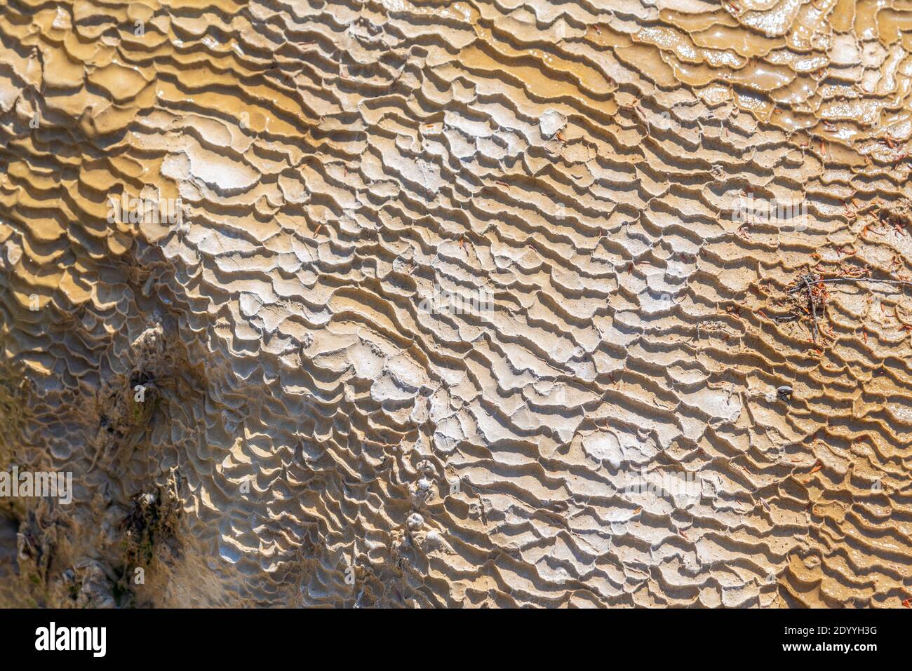 Mud structure at Wai-O-Tapu at New Zealand Stock Photo - Alamy
