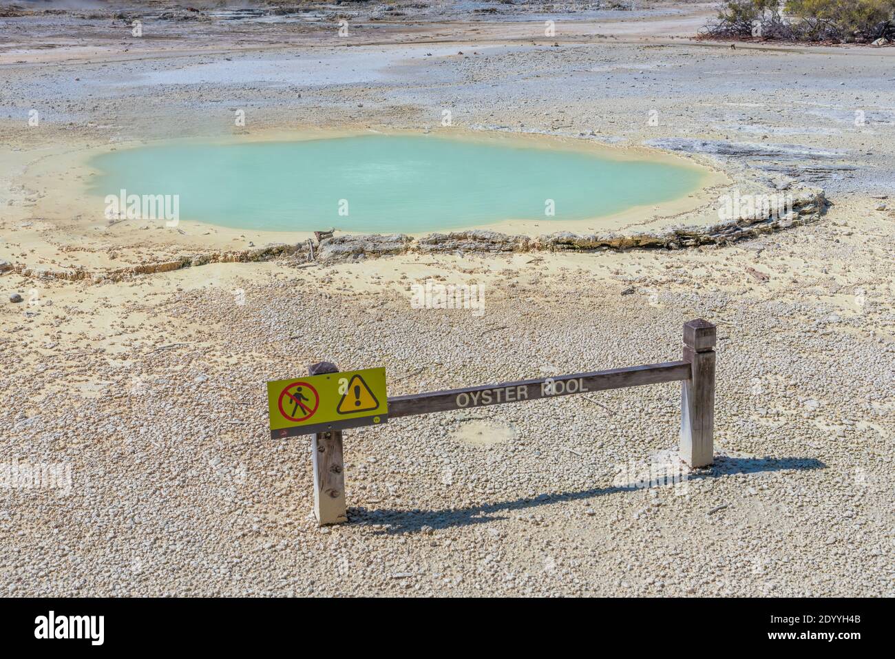 oyster pool at Wai-O-Tapu in New Zealand Stock Photo - Alamy
