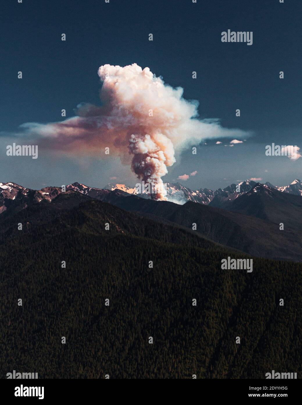 Olympic national park forest fire hi-res stock photography and images ...