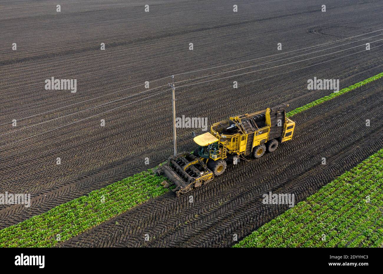 Beet harvesting machine hi-res stock photography and images - Alamy