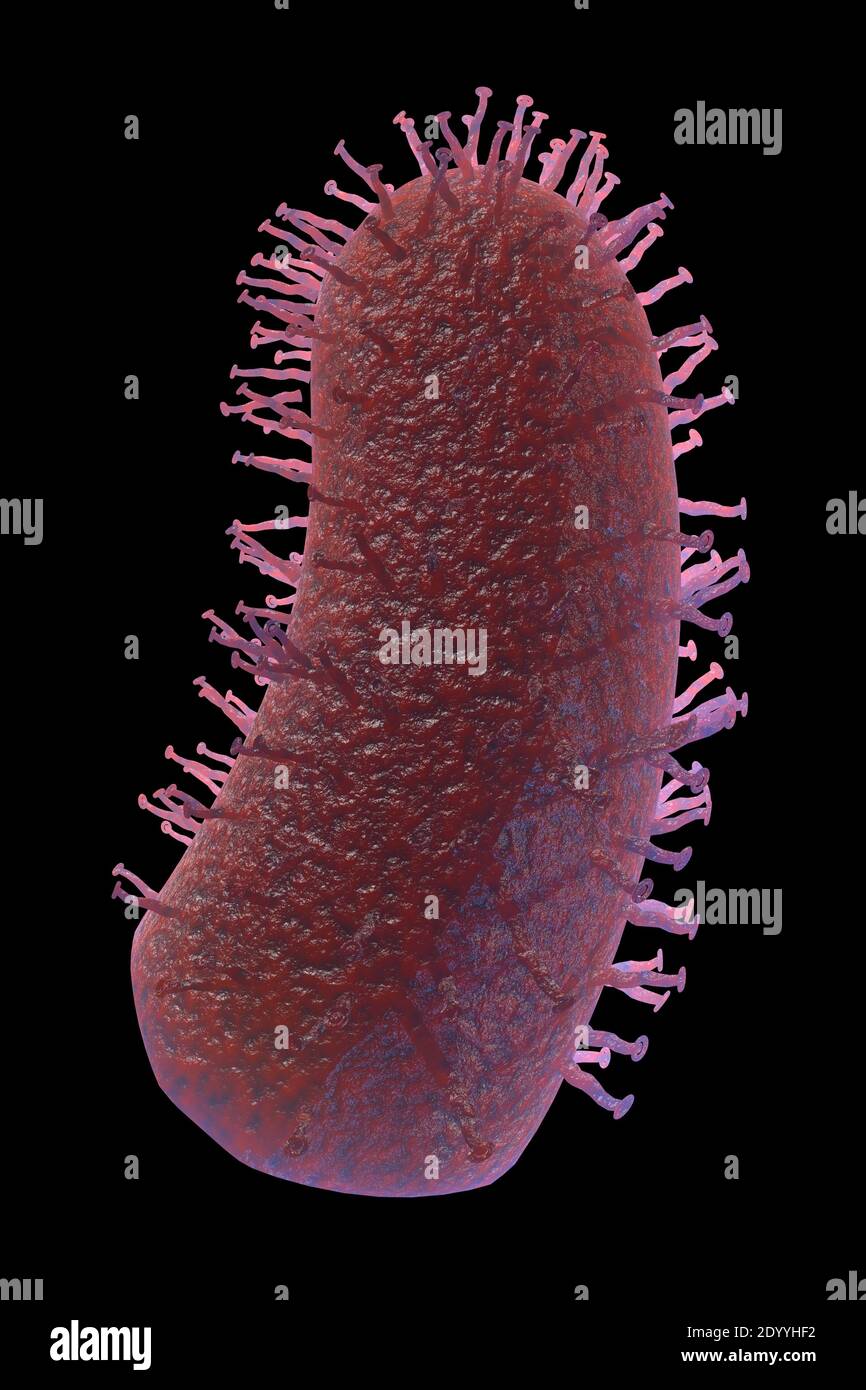 Pink rabies virus microscopic cells with pink background 3D ...