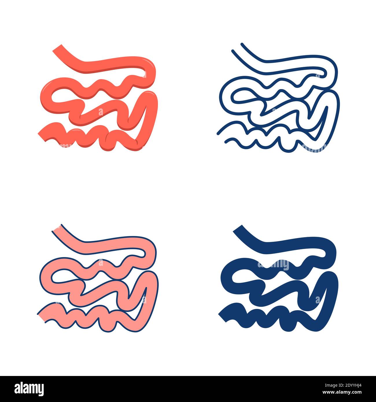 Small intestine icon vector vectors hi-res stock photography and images ...