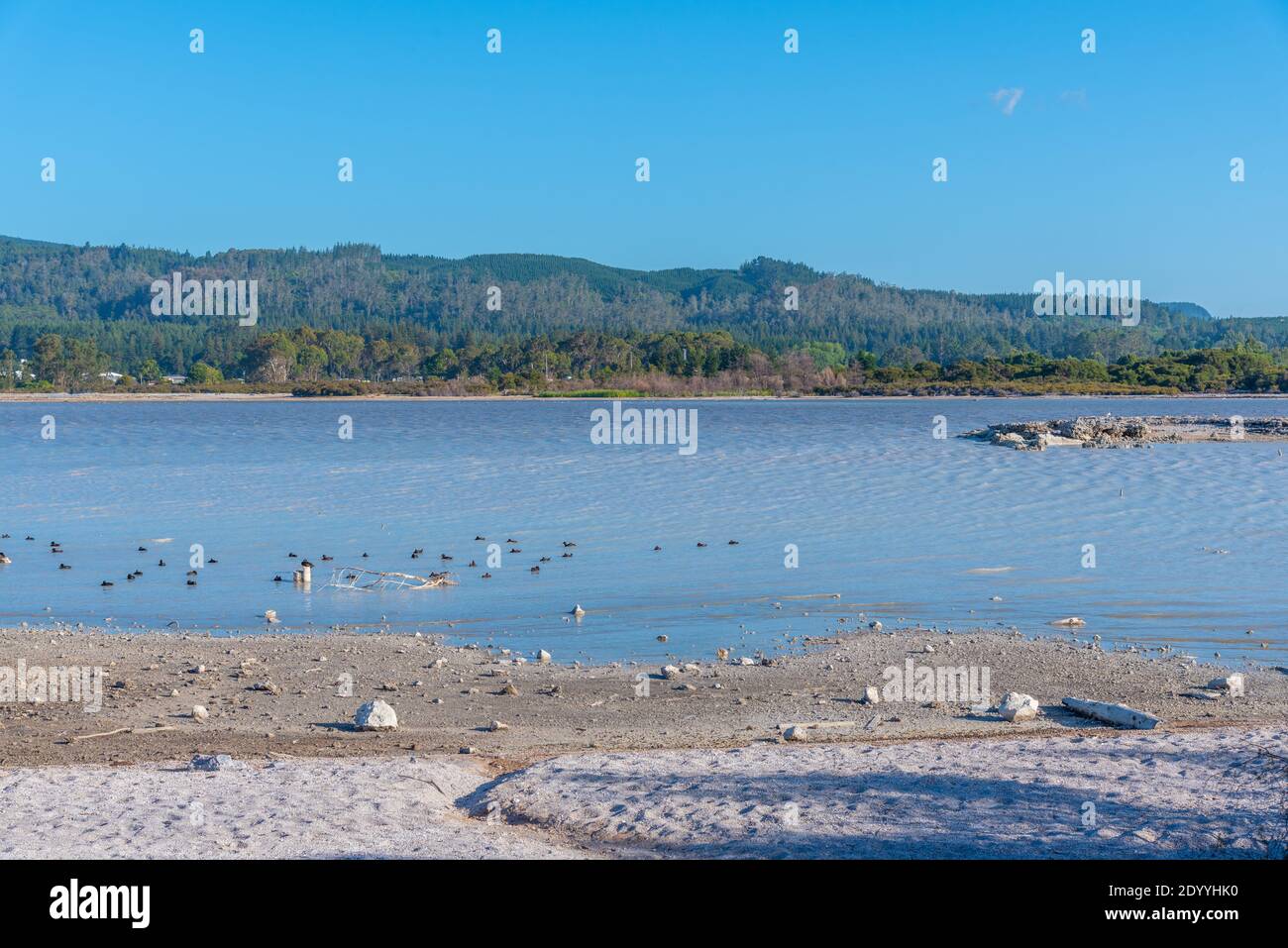 Sulphur point at Rotorua, New Zealand Stock Photo - Alamy