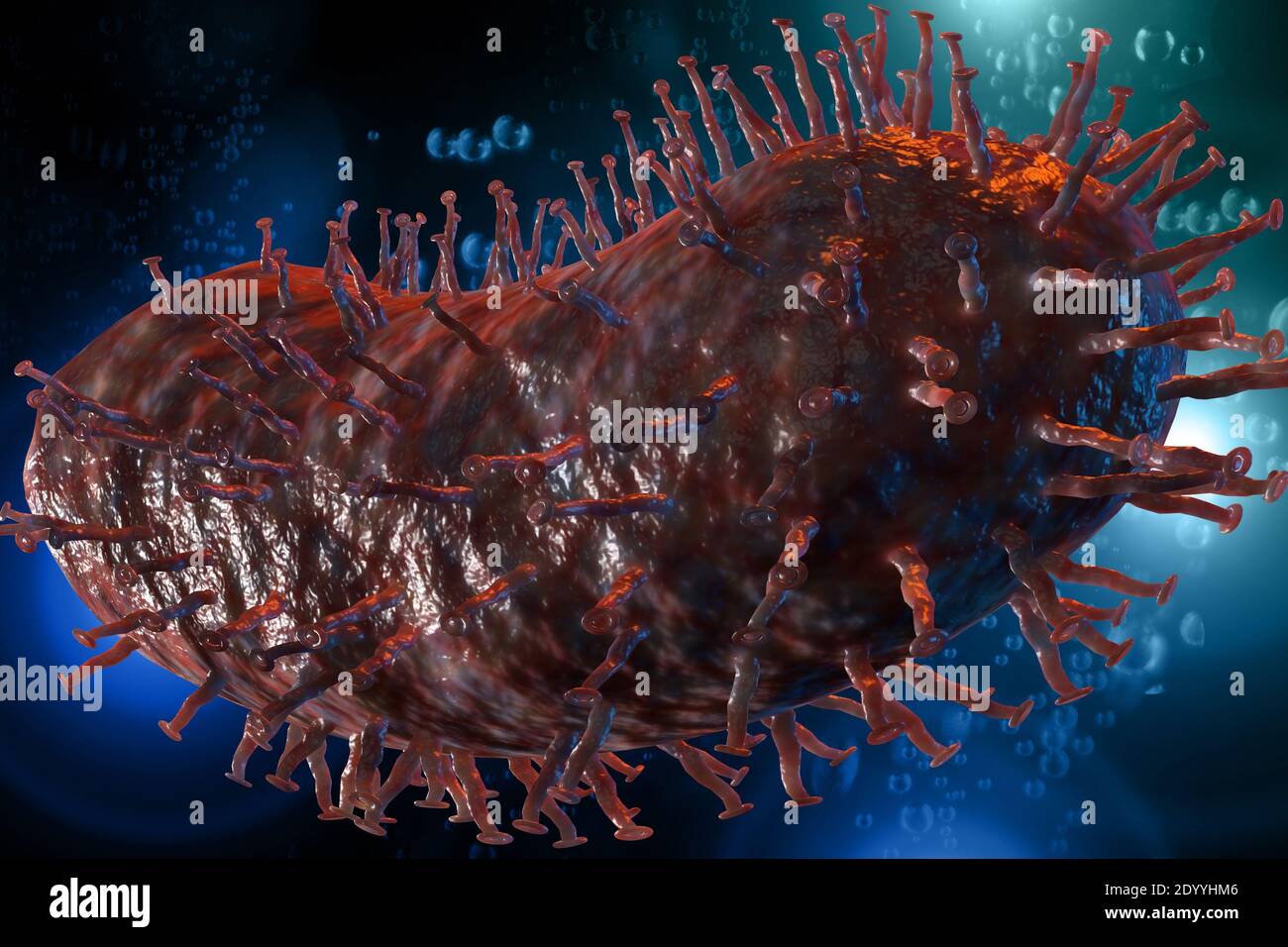 Rabies virus microscopic cells with pink background 3D Illustration ...