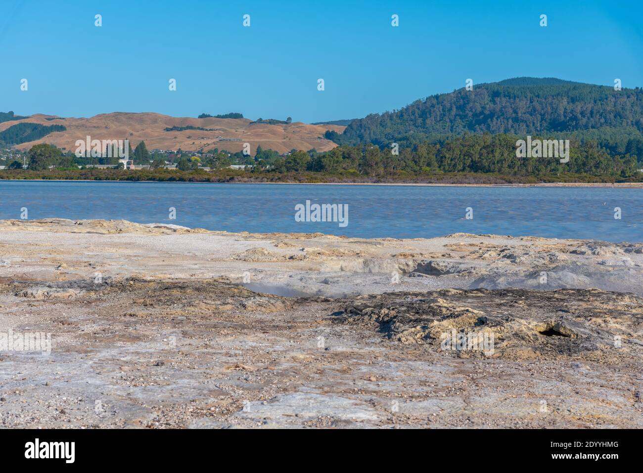 Sulphur point at Rotorua, New Zealand Stock Photo - Alamy