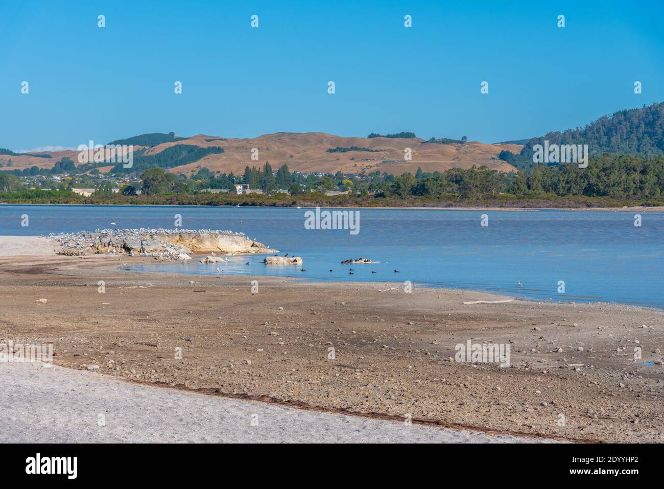 Sulphur point at Rotorua, New Zealand Stock Photo - Alamy