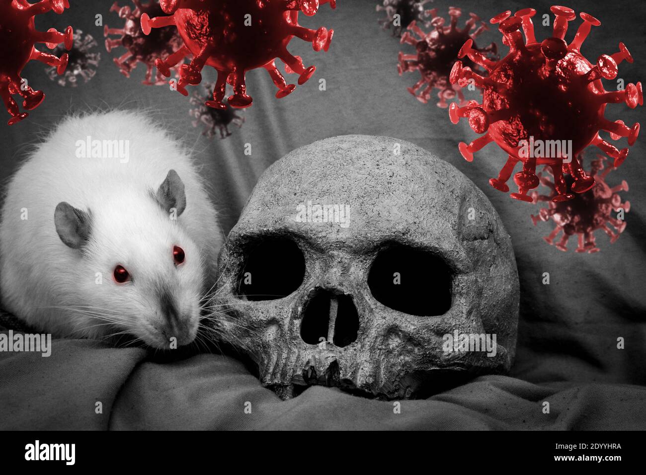 Human fleas hi-res stock photography and images - Alamy