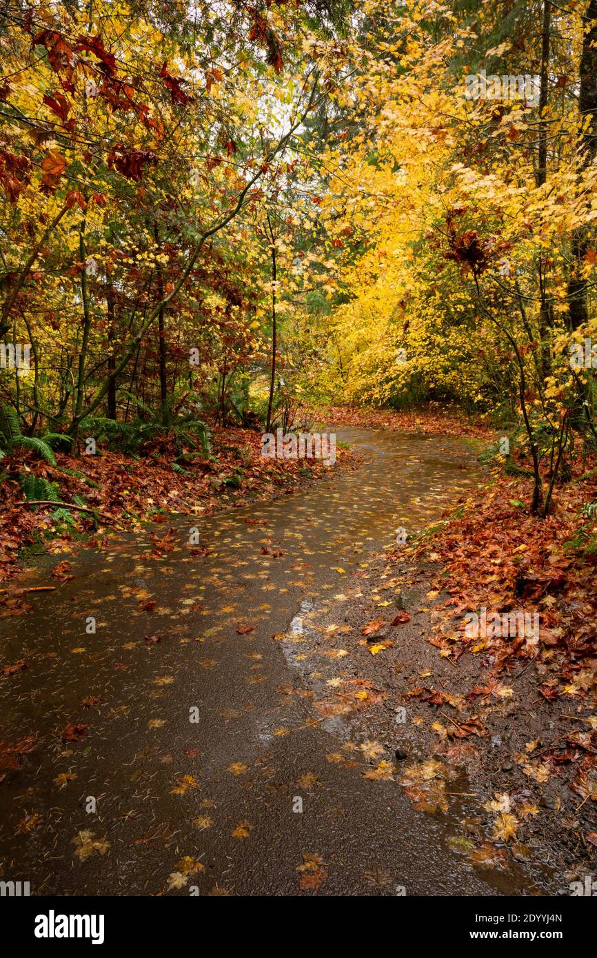 Madison falls trail hi-res stock photography and images - Alamy