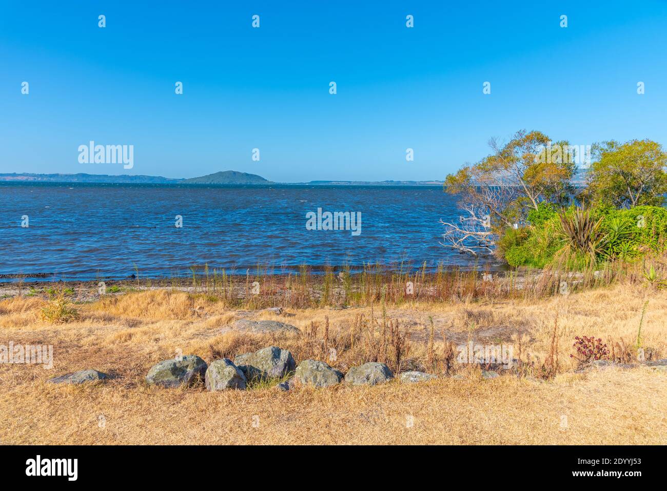 lake Rotorua at New Zealand Stock Photo - Alamy