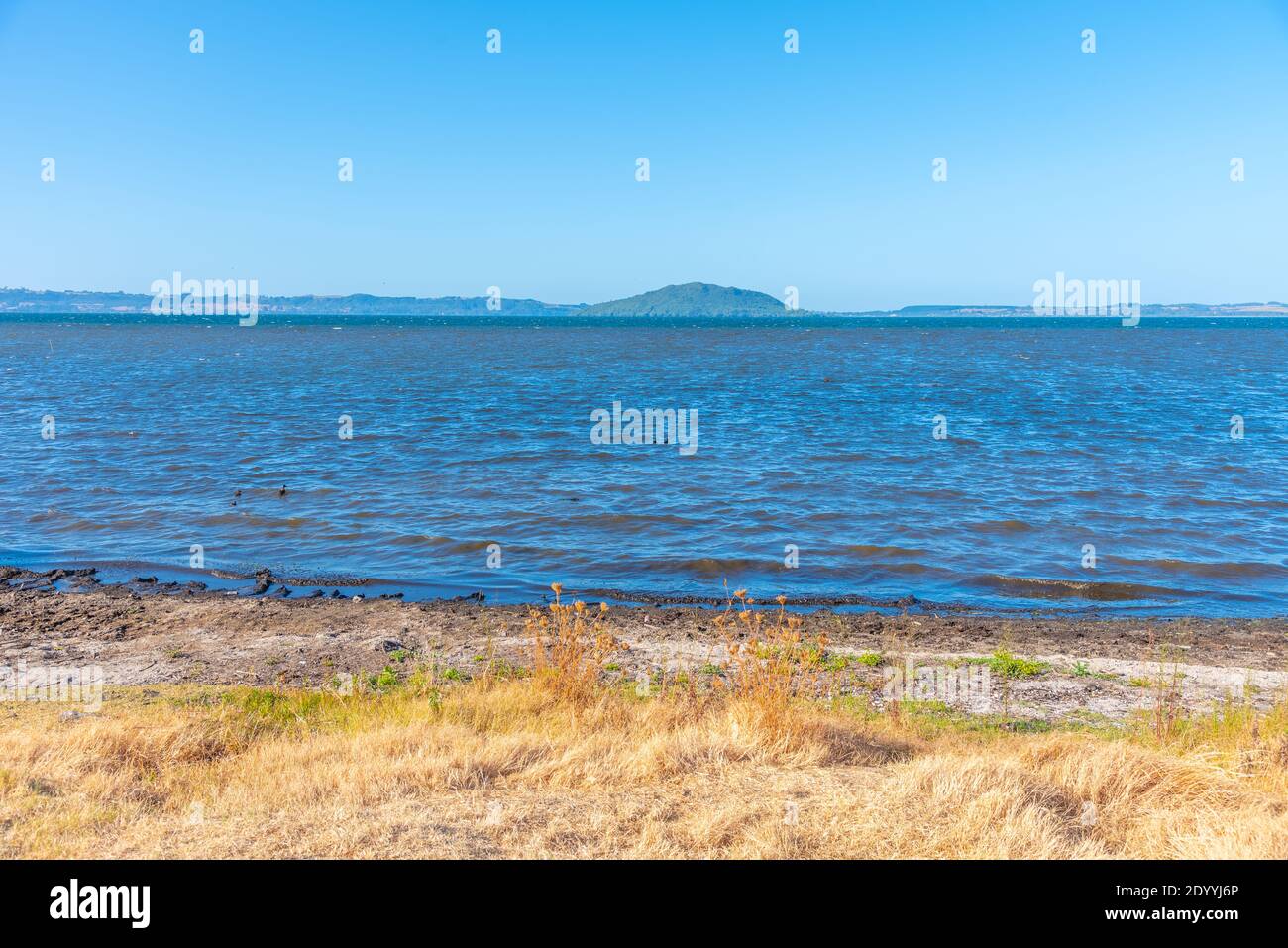 lake Rotorua at New Zealand Stock Photo - Alamy