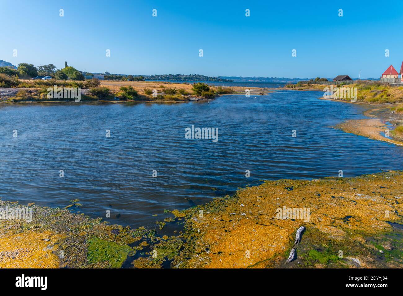 lake Rotorua at New Zealand Stock Photo - Alamy