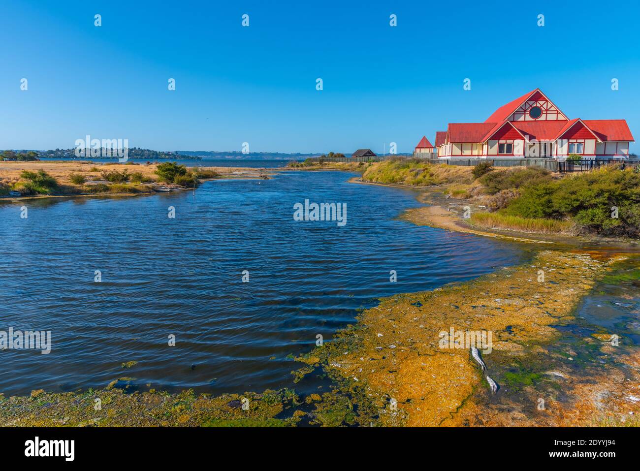 lake Rotorua at New Zealand Stock Photo - Alamy
