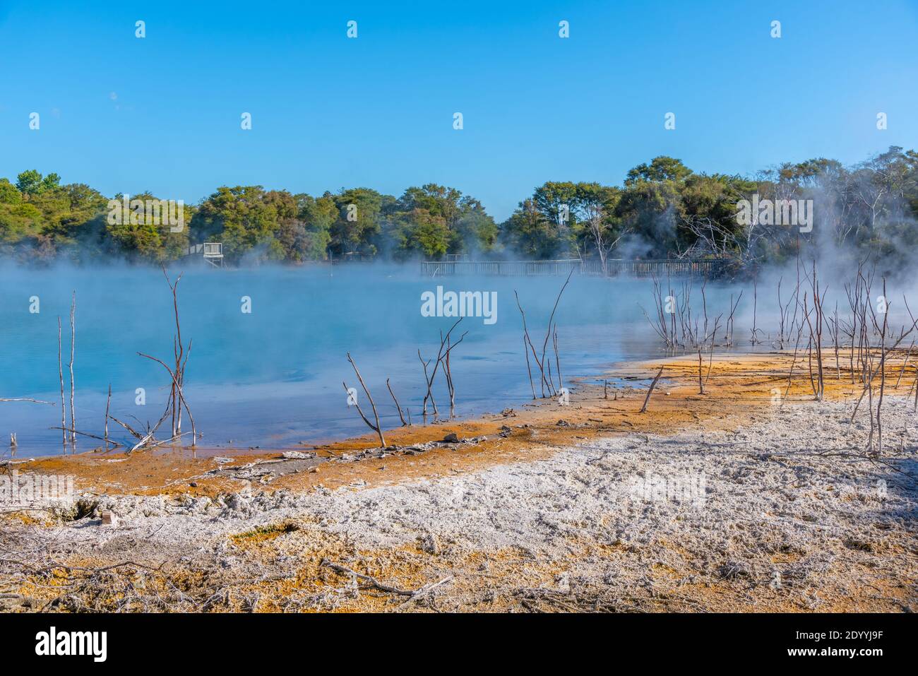 Geothermal pond at Kuirau park in Rotorua, New Zealand Stock Photo - Alamy