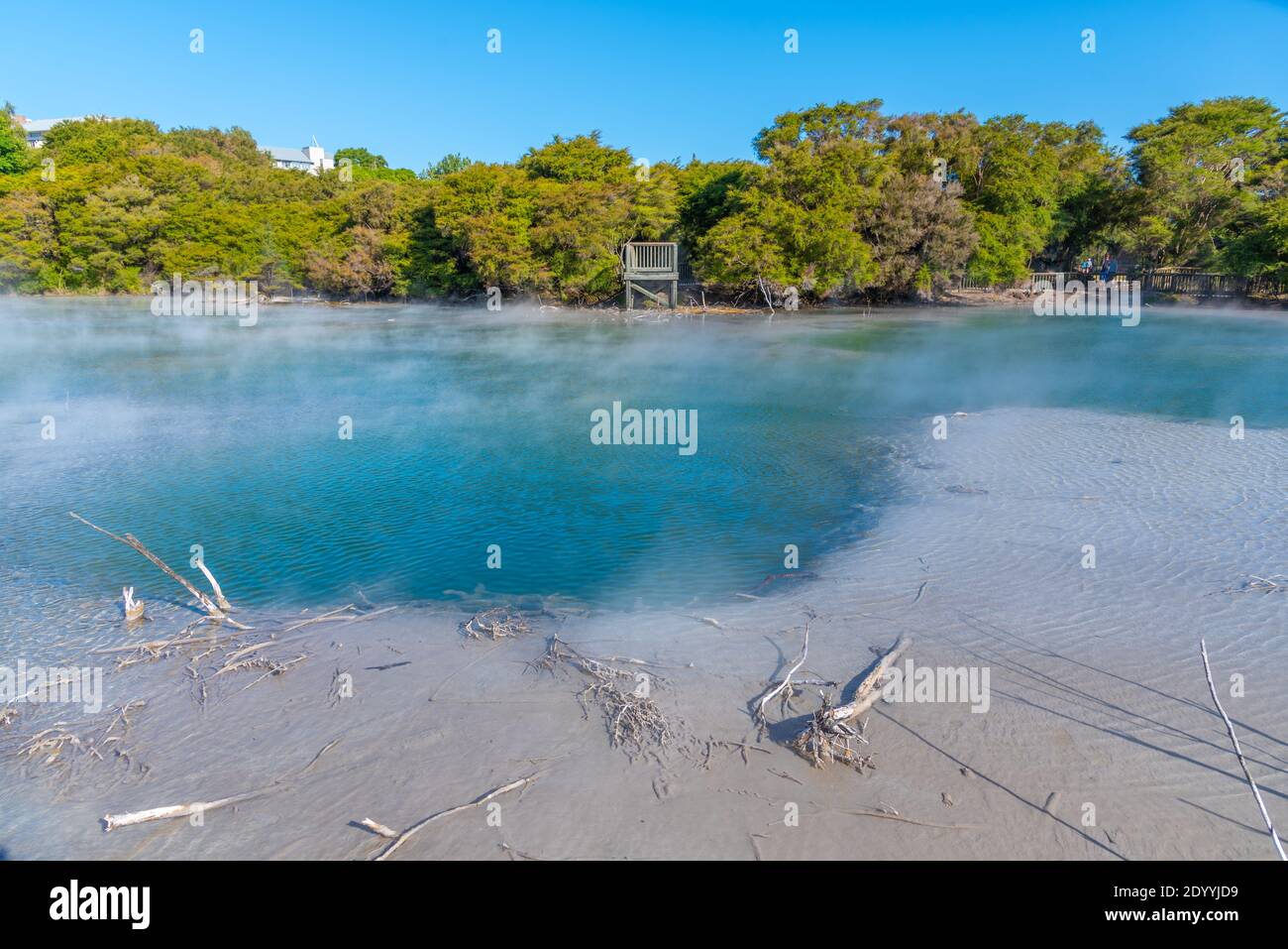 Geothermal pond at Kuirau park in Rotorua, New Zealand Stock Photo - Alamy