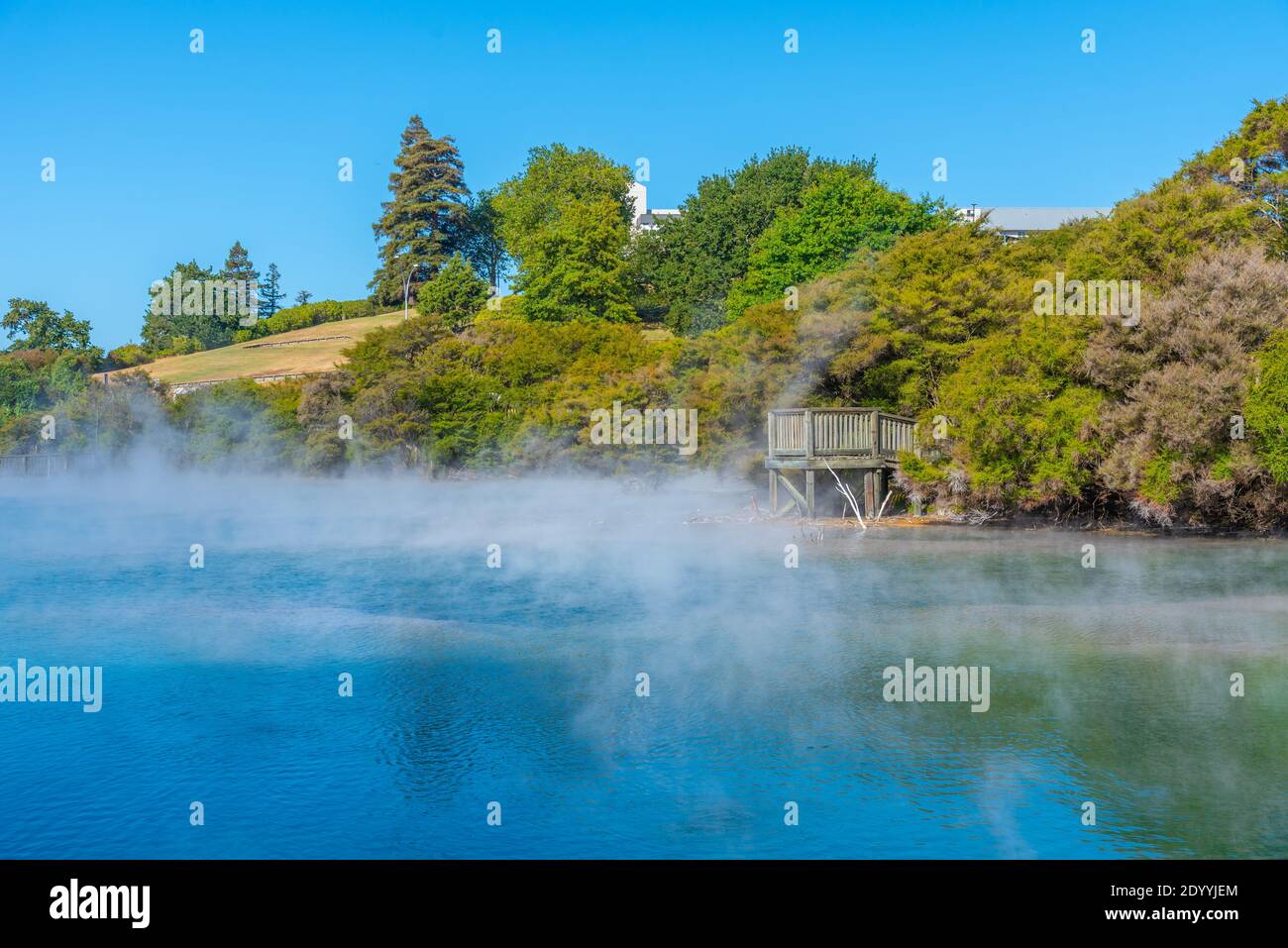 Geothermal pond at Kuirau park in Rotorua, New Zealand Stock Photo - Alamy