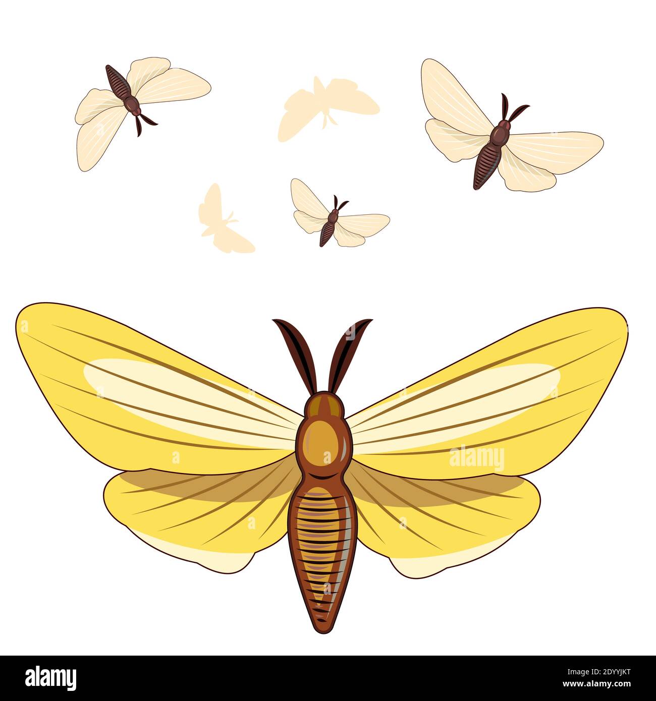 Cartoon moths hi-res stock photography and images - Alamy