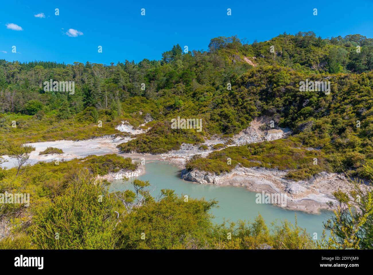 Geothermal landscape of Rotorua at Te Puia center for Maori culture ...