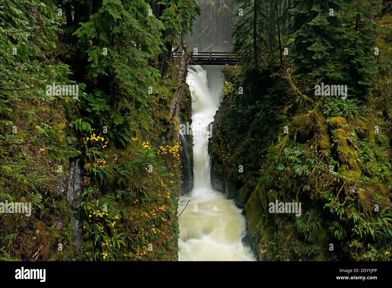 Sol Duc High Resolution Stock Photography and Images - Alamy