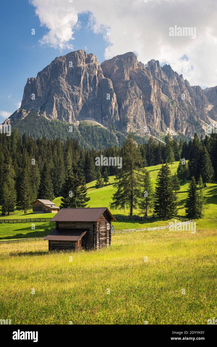 Wooden hay huts on a flowering alpine meadow at Zwischenkofel valley ...