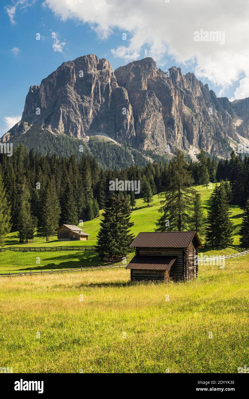 Wooden hay huts on a flowering alpine meadow at Zwischenkofel valley ...