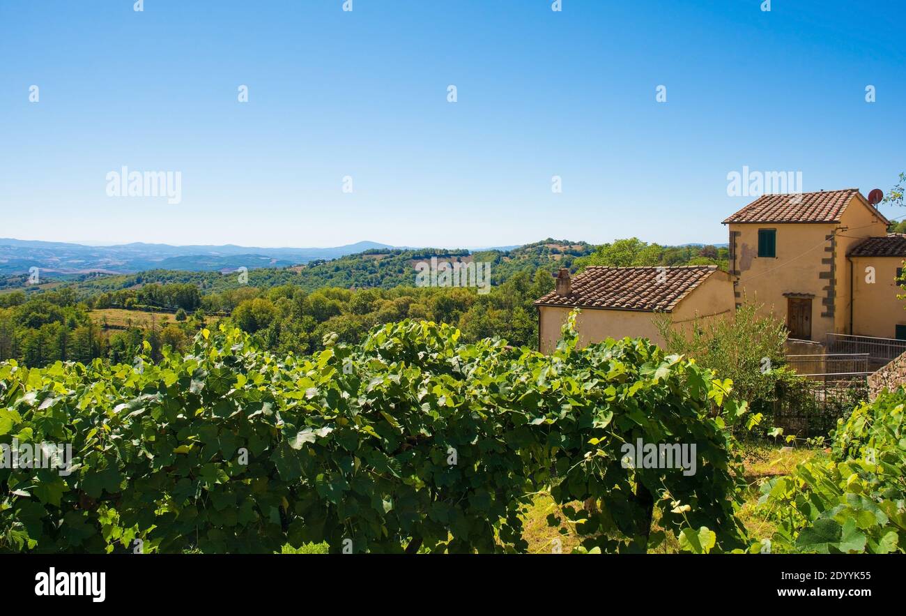 Green architecture roof High Resolution Stock Photography and Images ...
