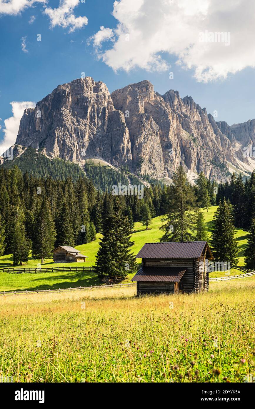 Wooden hay huts on a flowering alpine meadow at Zwischenkofel valley ...