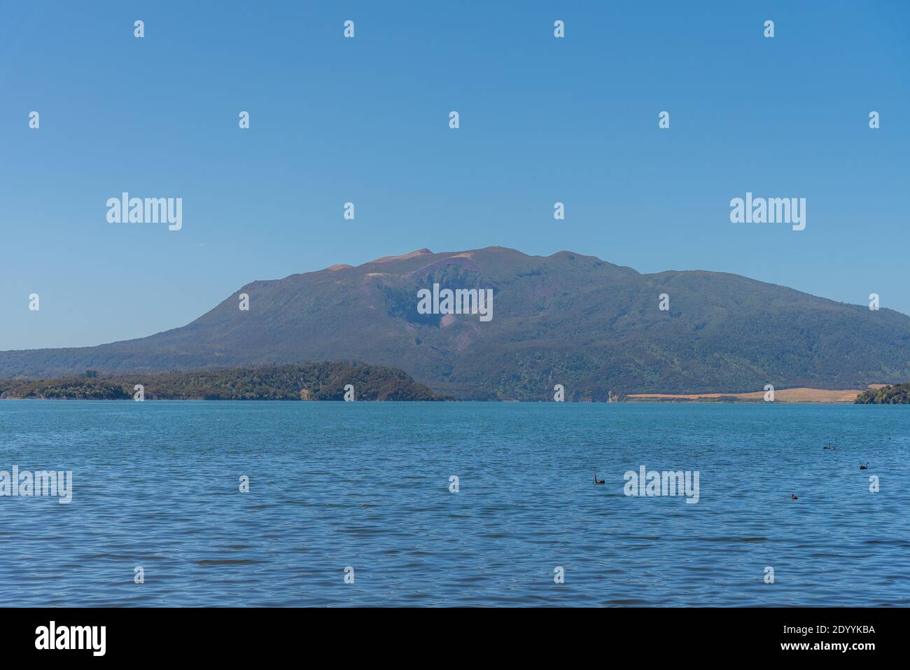 Mount Tarawera in New Zealand Stock Photo - Alamy