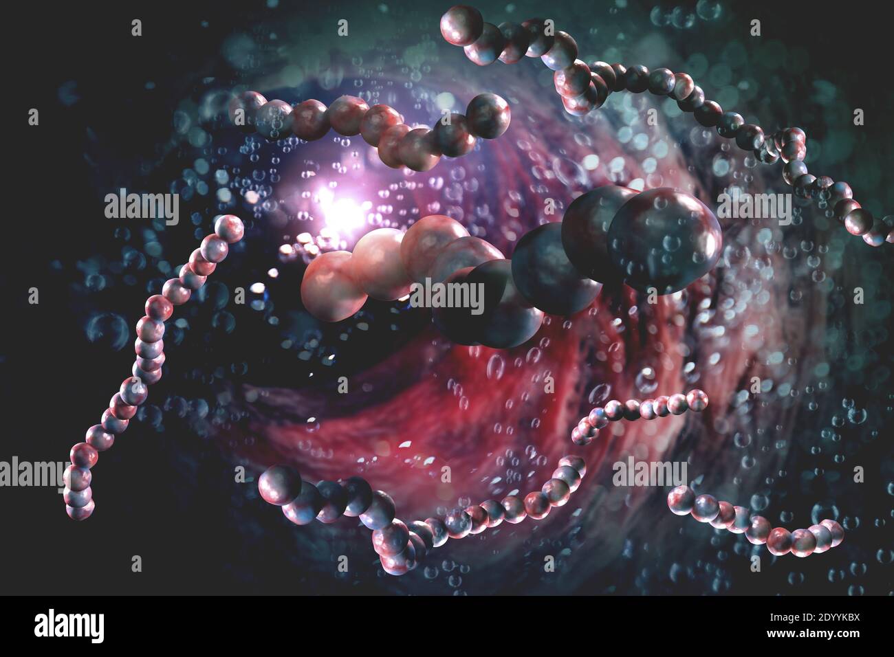 Streptococcus pyogenes bacteria hi-res stock photography and images - Alamy