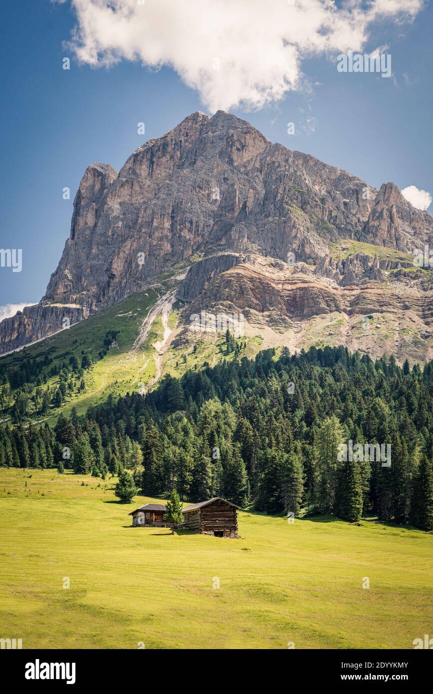 Wooden hay huts on an summer alpine meadow in front of the rock faces ...