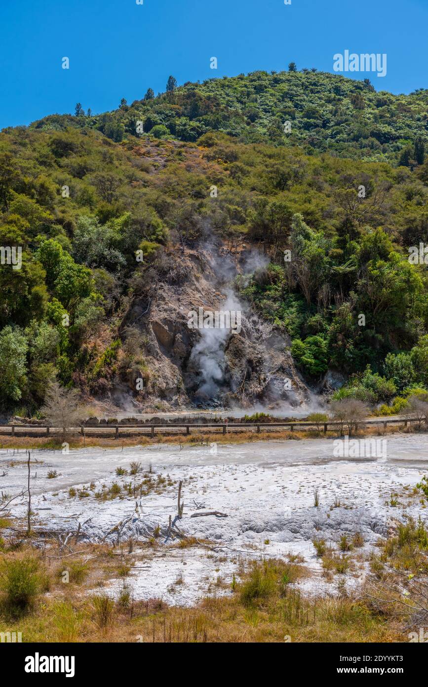 Fumaroles at Waimangu volcanic valley in New Zealand Stock Photo - Alamy