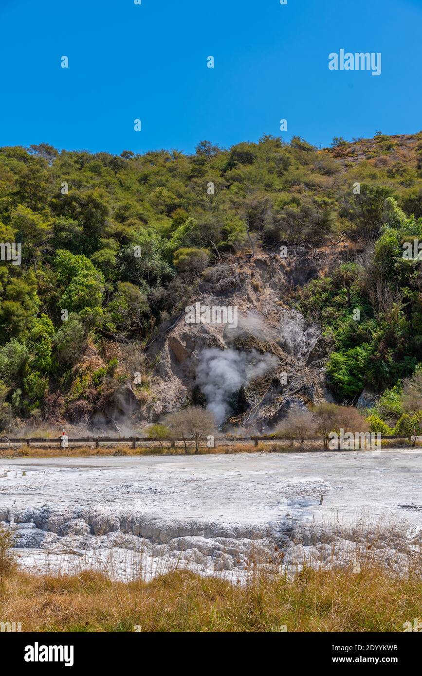 Fumaroles at Waimangu volcanic valley in New Zealand Stock Photo - Alamy