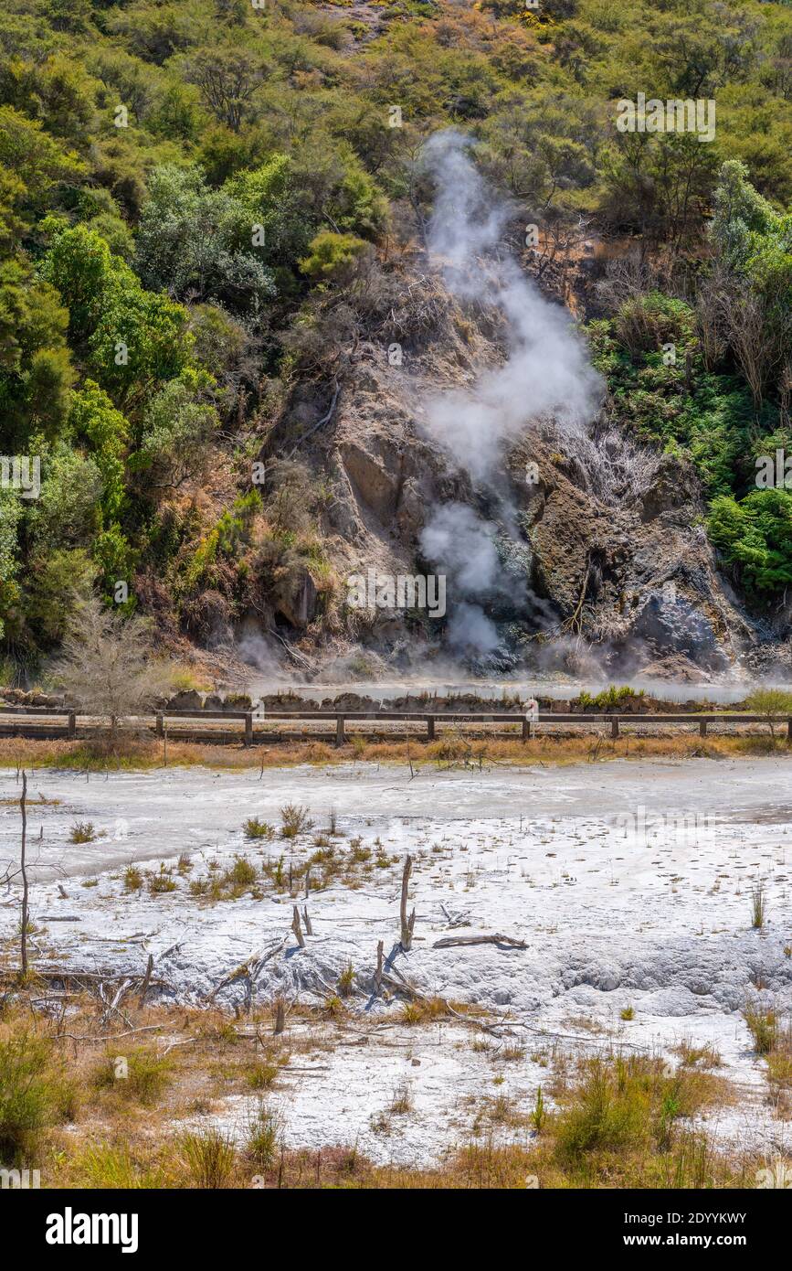 Fumaroles at Waimangu volcanic valley in New Zealand Stock Photo - Alamy