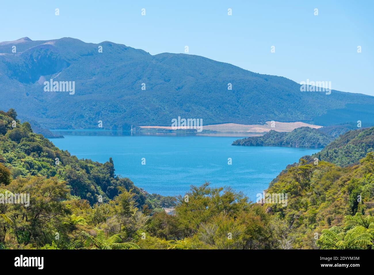 Mount Tarawera Eruption High Resolution Stock Photography and Images ...
