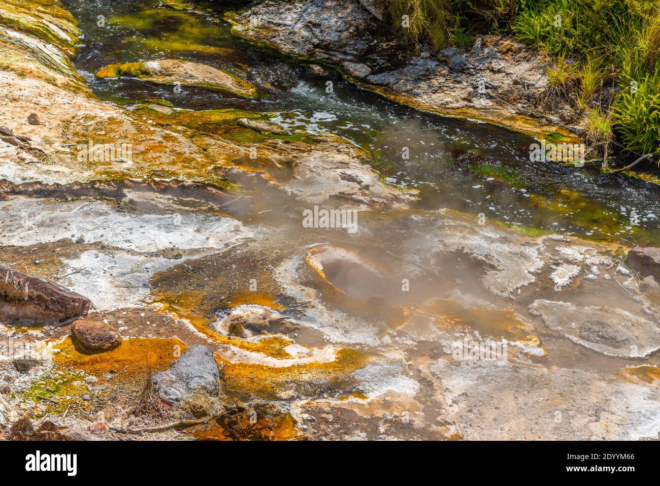 Fumaroles at Waimangu volcanic valley in New Zealand Stock Photo - Alamy