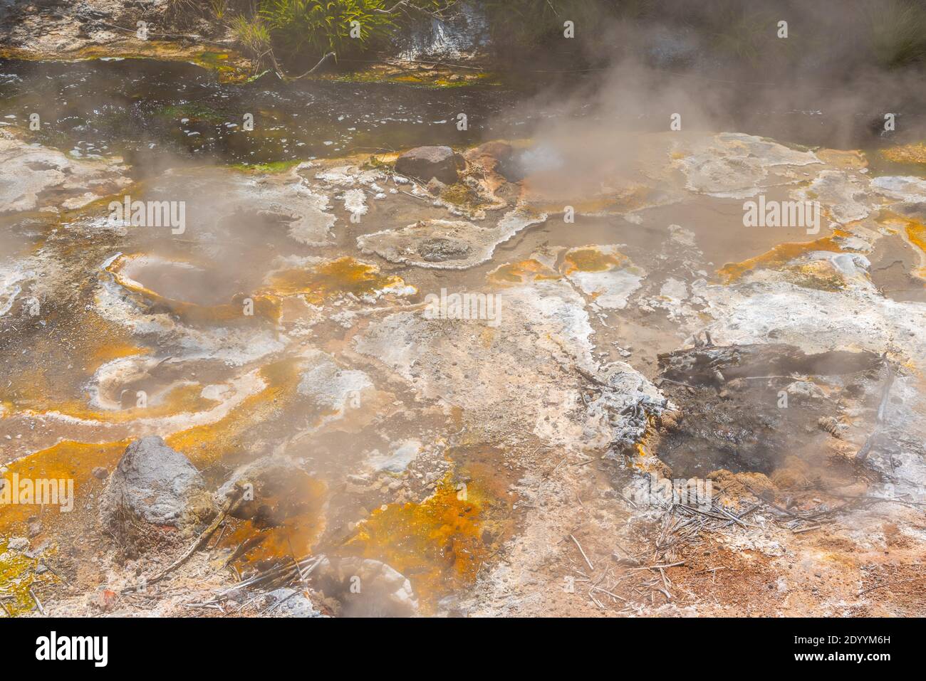Fumaroles at Waimangu volcanic valley in New Zealand Stock Photo - Alamy