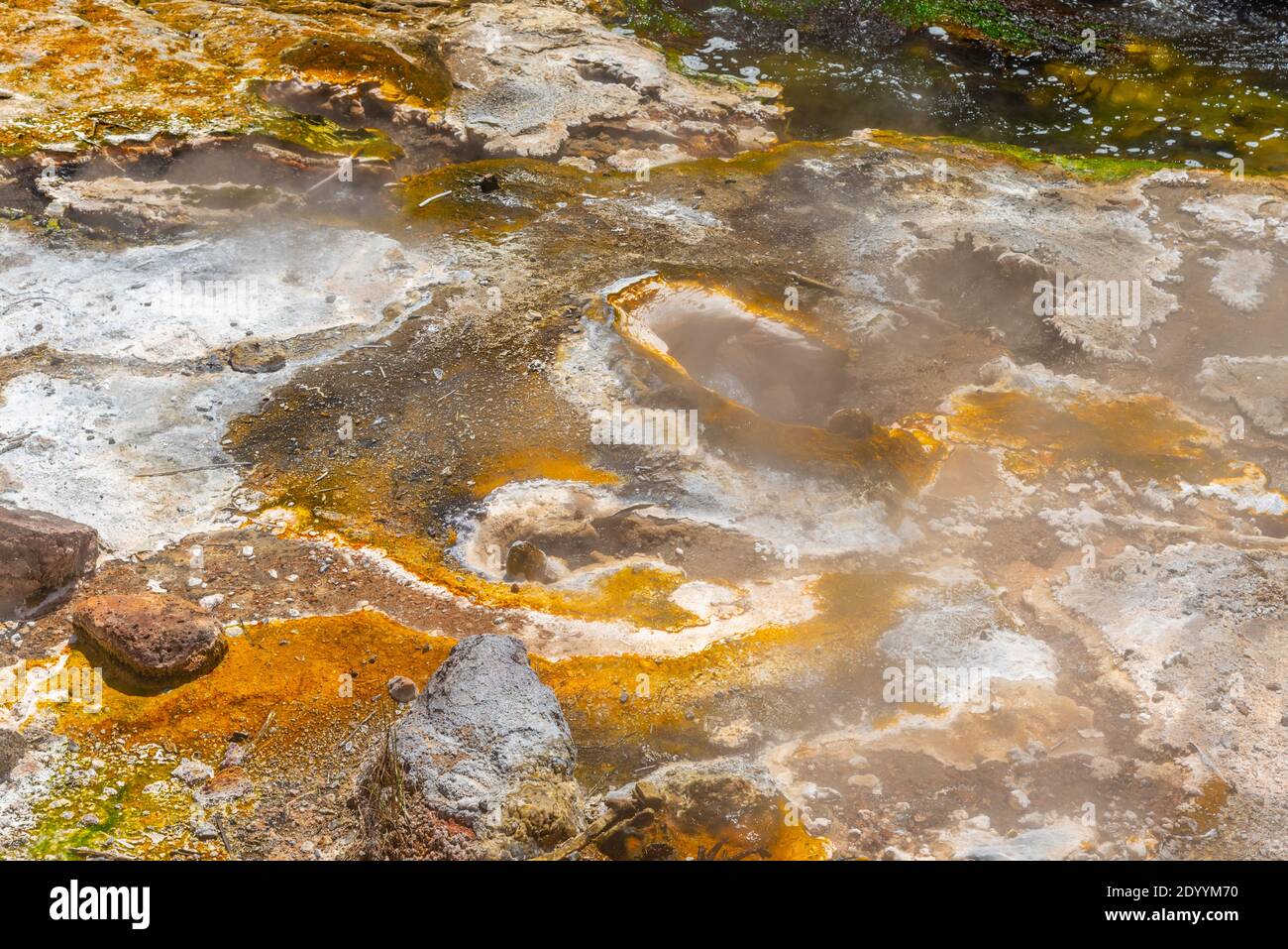 Fumaroles at Waimangu volcanic valley in New Zealand Stock Photo - Alamy